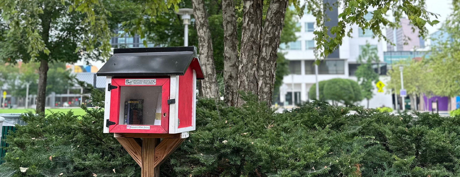 Little Book Library – Pen Pal Adventure Book