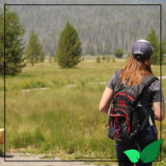 Pen Pal Adventure Book